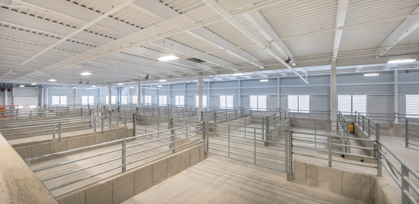 West Michigan Beef Company - Processing Facility - Excellence in Construction Awards
